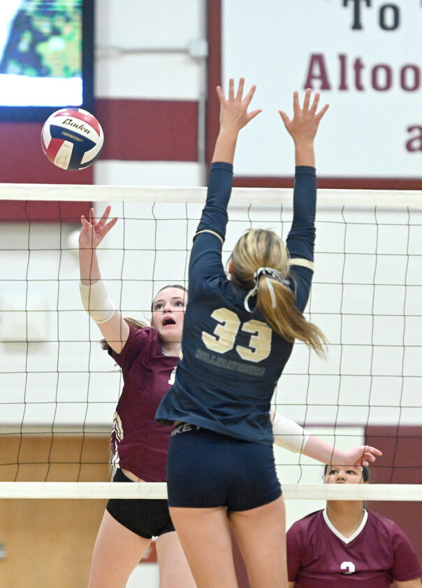 Tigers girls volleyball comes back to defeat rival Lions | News, Sports ...